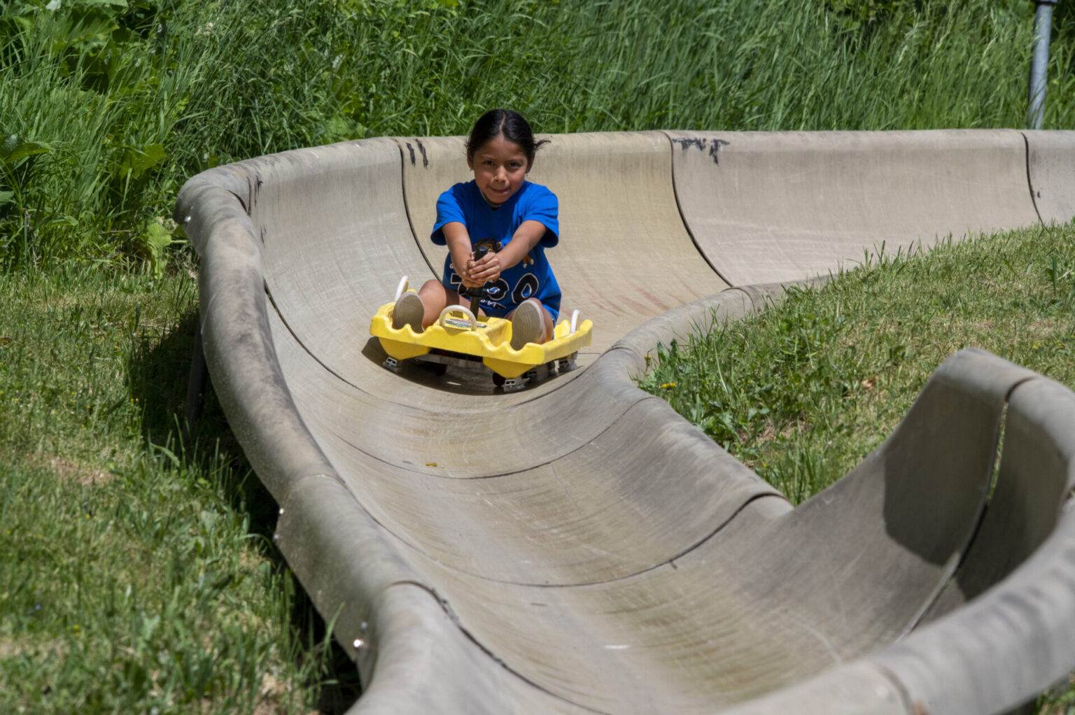 Alpine Slide - Chestnut Mountain