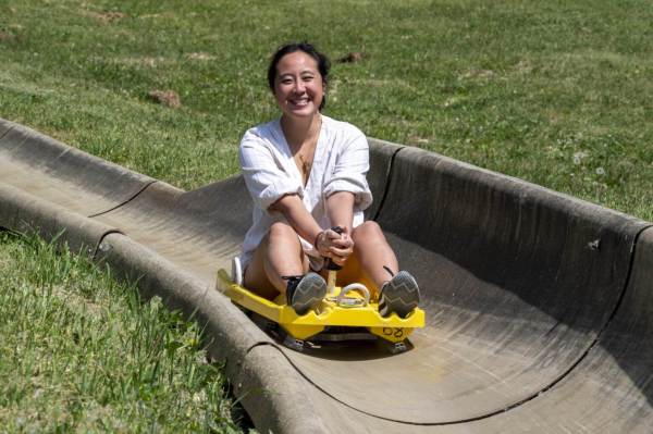 Alpine Slide - Chestnut Mountain